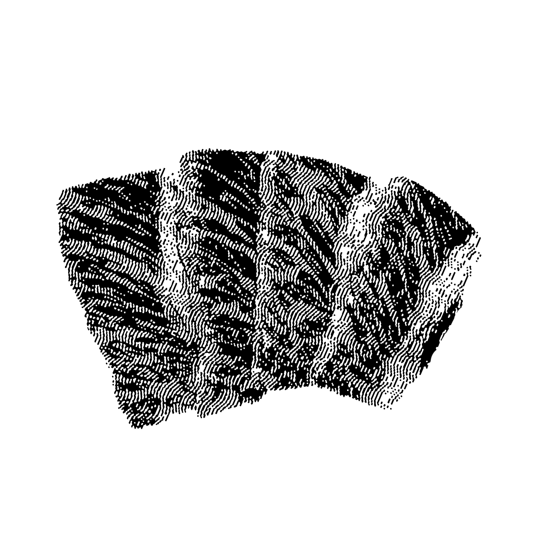 Munite